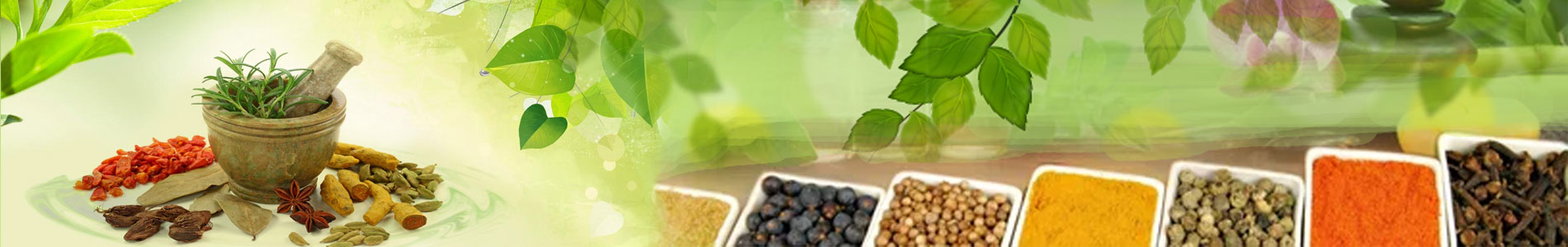 Home | Ministry of Ayush, Govt. of India