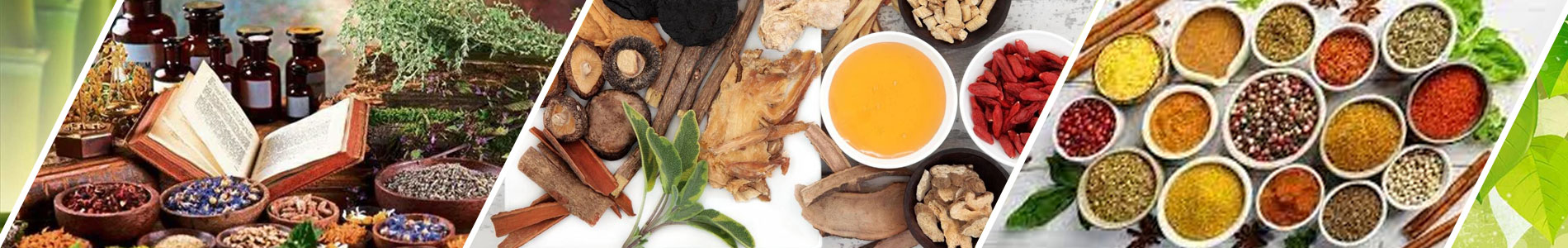 Home | Ministry of Ayush, Govt. of India