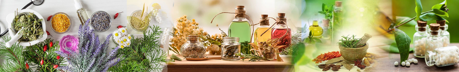 Home | Ministry of Ayush, Govt. of India